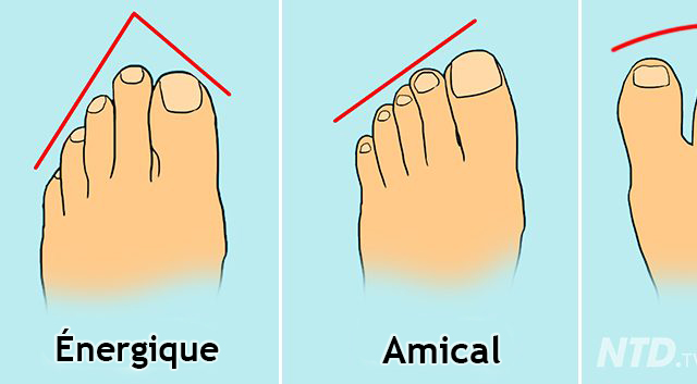Voici 13 types d’orteils et les indices fascinants qu’ils révèlent sur ...