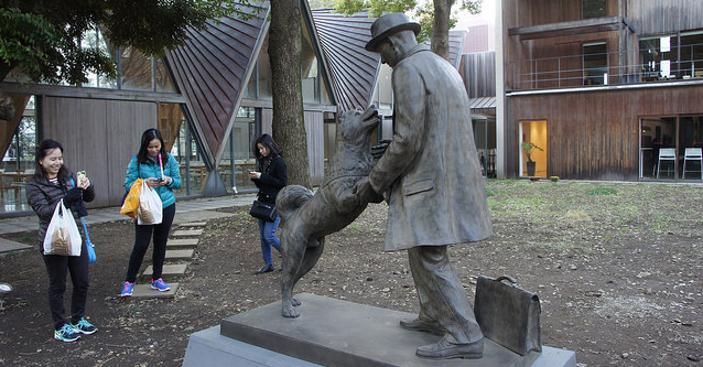 Hachiko, le chien le plus fidèle du Japon, est enfin réuni avec son maître