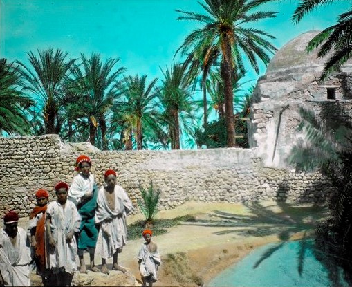 En Tunisie, les saveurs du legmi, fragile "cadeau" du palmier dattier