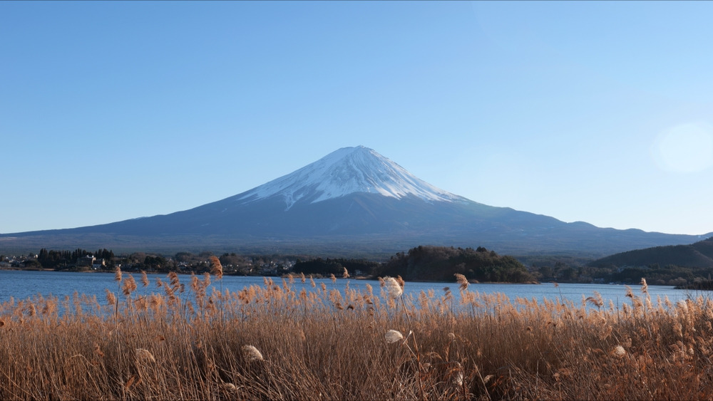 Les volcanologues solennels : les Japonais doivent se préparer à une ...